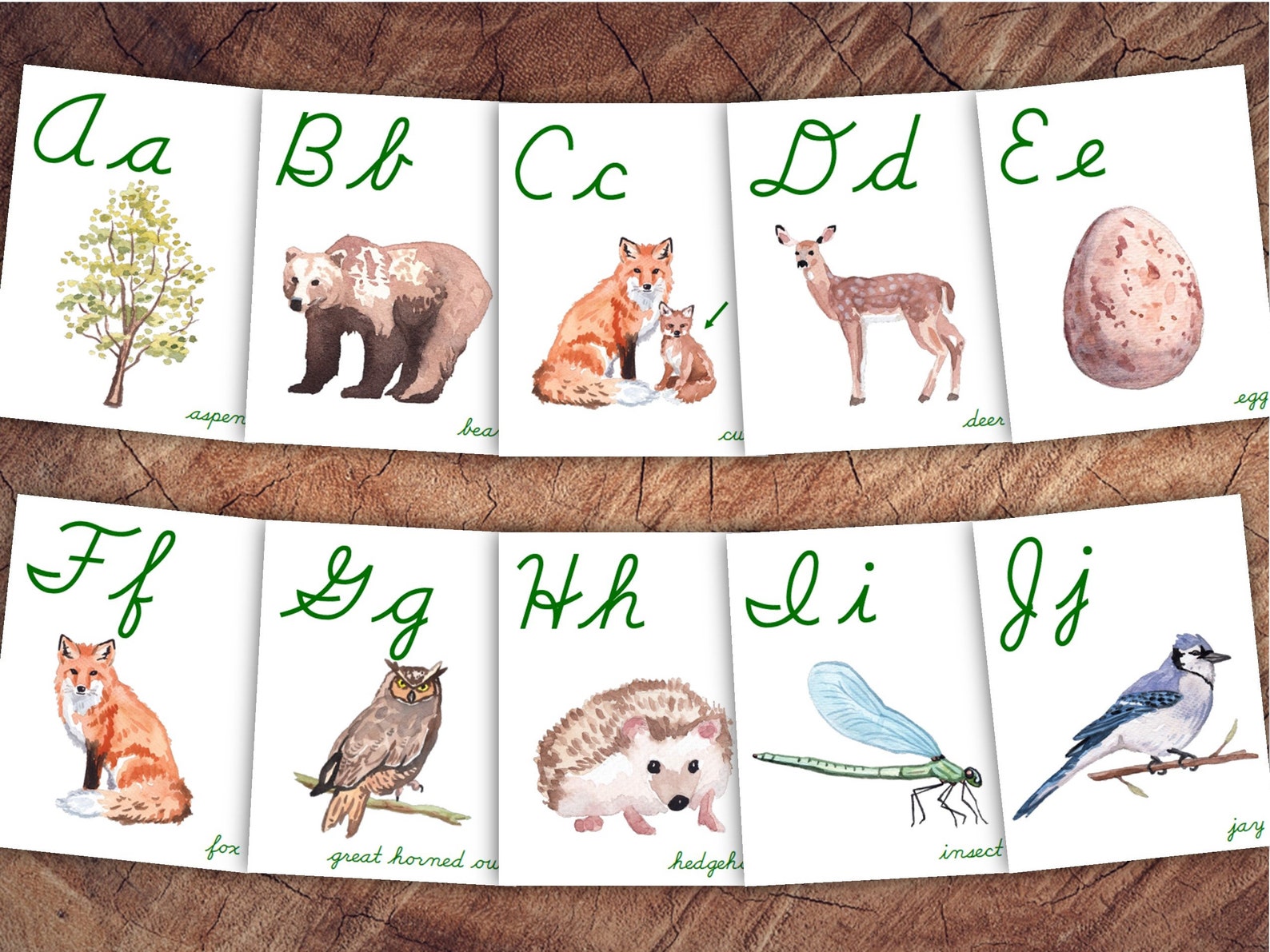 Forest Explorer Alphabet Cards Cursive Woodland Animal | Etsy