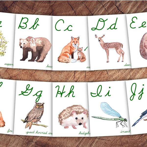 Woodland Alphabet - Etsy