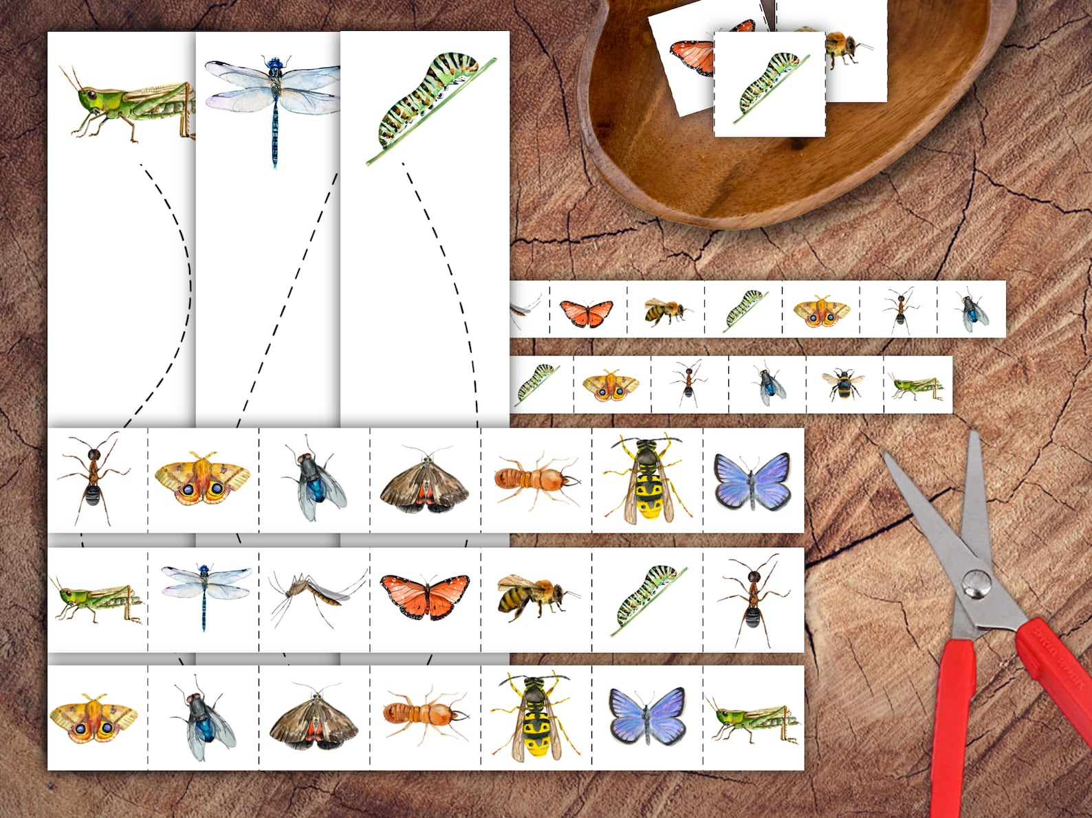 Insects Scissor Strips Set Preschool Scissor Practice - Etsy