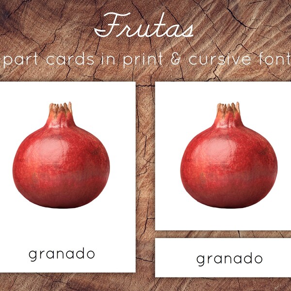 Spanish Homeschool - Etsy