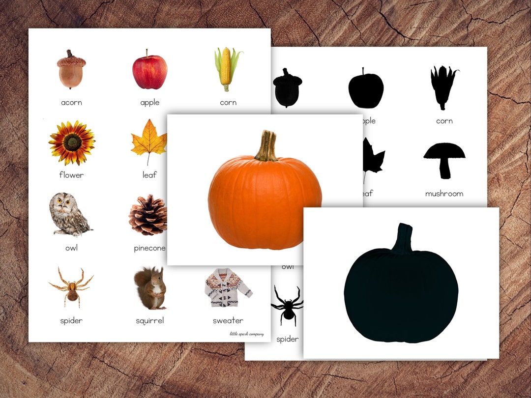 Fall Picture Matching Cards, Silhouette Matching, Toddler Preschool ...