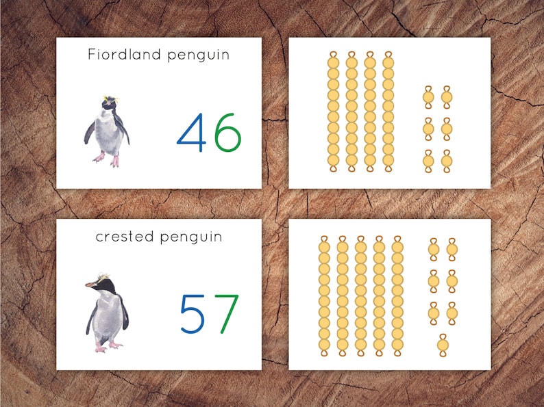 Playful Penguins Bundle Homeschool Printable - Etsy