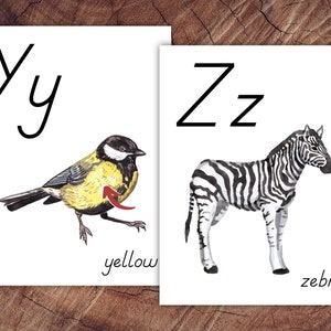 Animals of the World Alphabet Cards, D'nealian-style Print - Etsy Canada