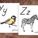 Animals of the World Alphabet Cards, D'nealian-style Print - Etsy Canada