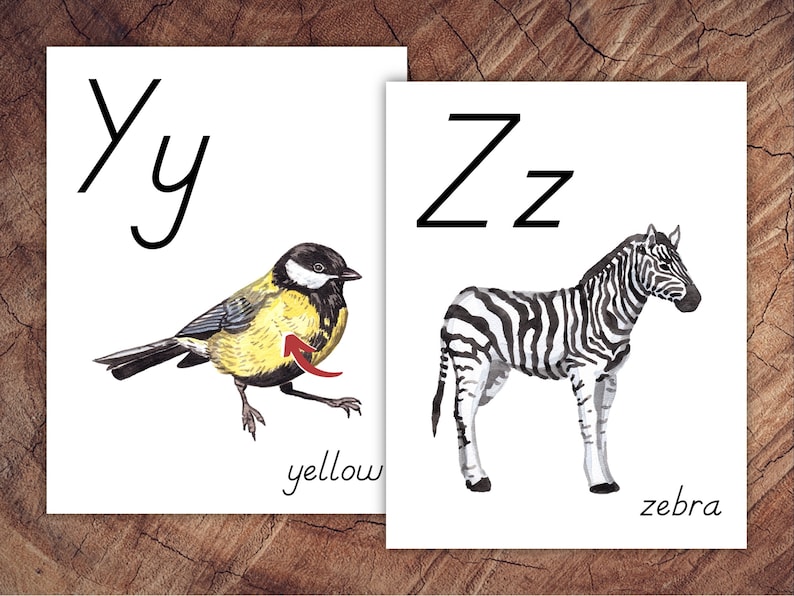 Animals of the World Alphabet Cards, D'nealian-style Print - Etsy Canada