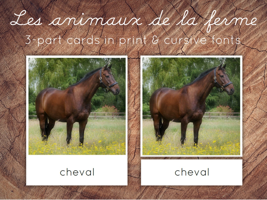 FRENCH Farm Animals 3 Part Cards Montessori Nomenclature - Etsy