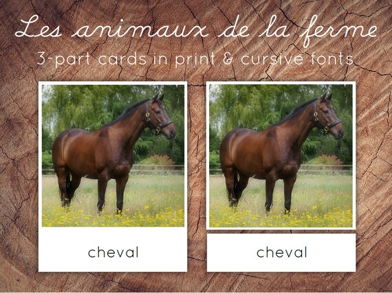 FRENCH Farm Animals 3 Part Cards Montessori Nomenclature - Etsy