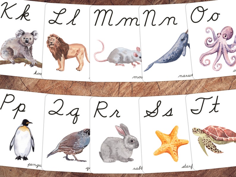 Animals of the World Cursive Alphabet Cards Animal Nursery | Etsy
