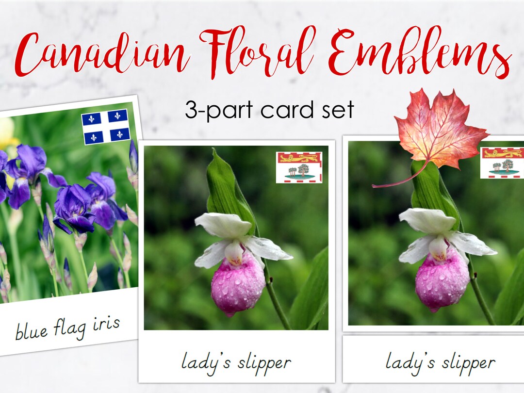 Canadian Floral Emblems 3-part Card Set - DIGITAL DOWNLOAD - Etsy