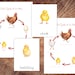 Chickens Bundle Preschool Literacy Math DIGITAL (Download Now) - Etsy
