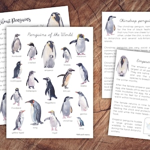 Playful Penguins Bundle, Homeschool Printable - Etsy