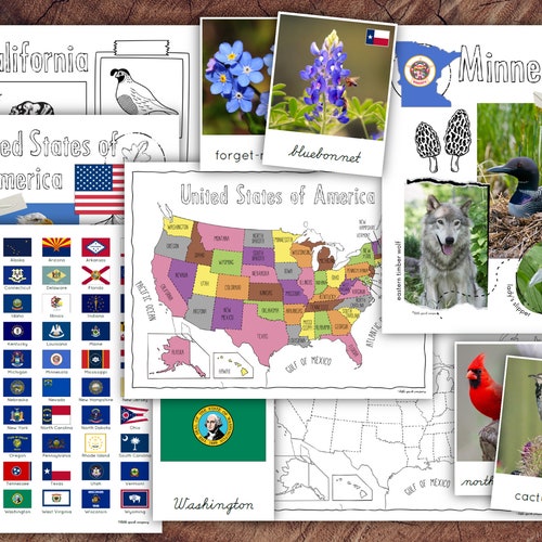 US States Research Pack Homeschool Geography - Etsy