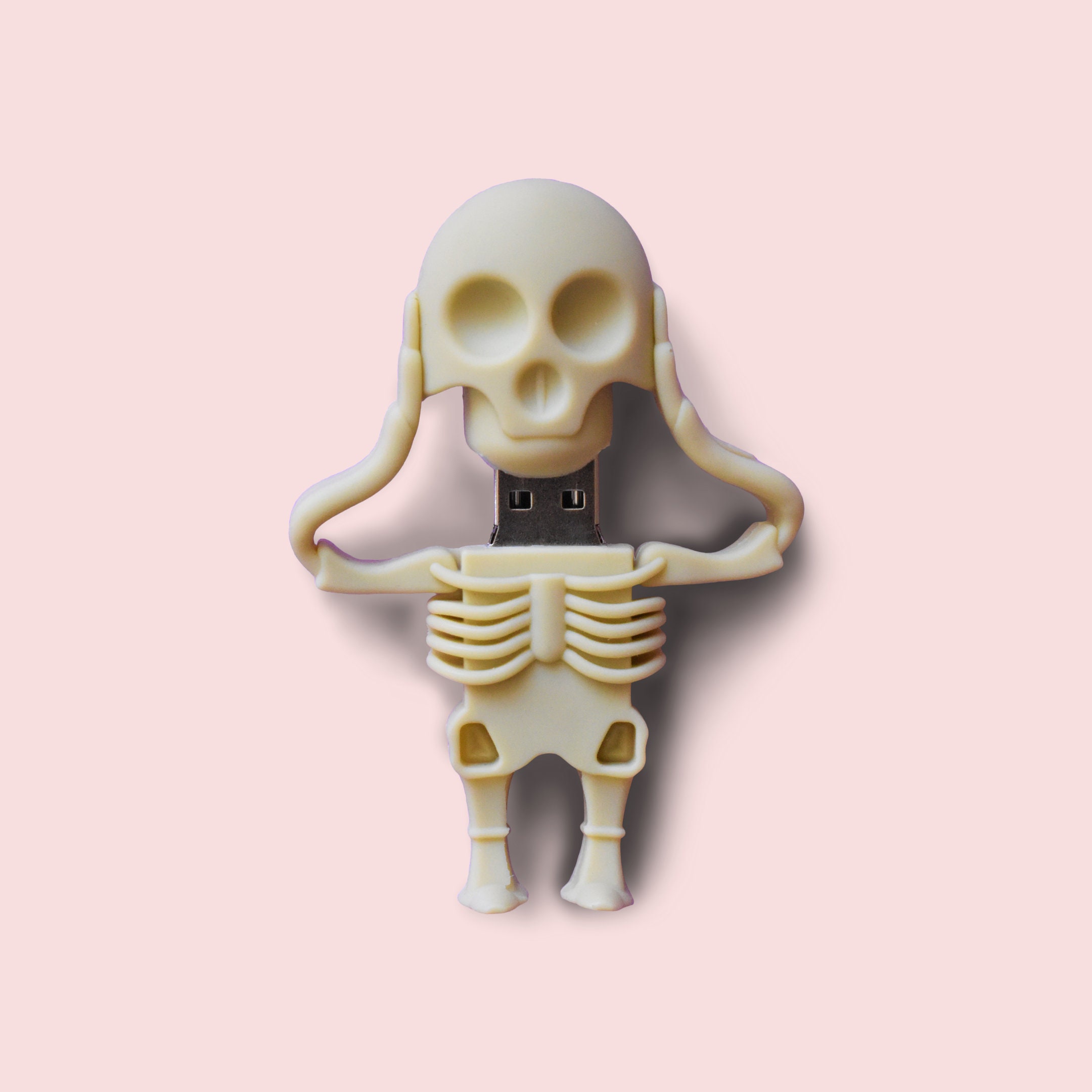 Usb Medical Anatomy - Etsy