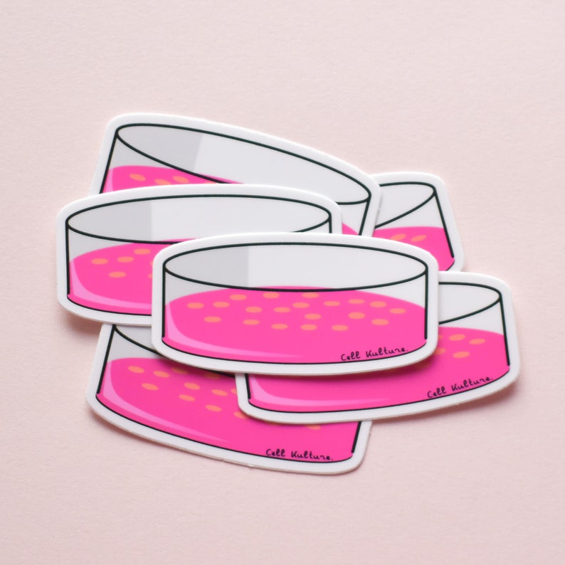 Petri Dish vinyl science sticker microbiology bacteria | Etsy
