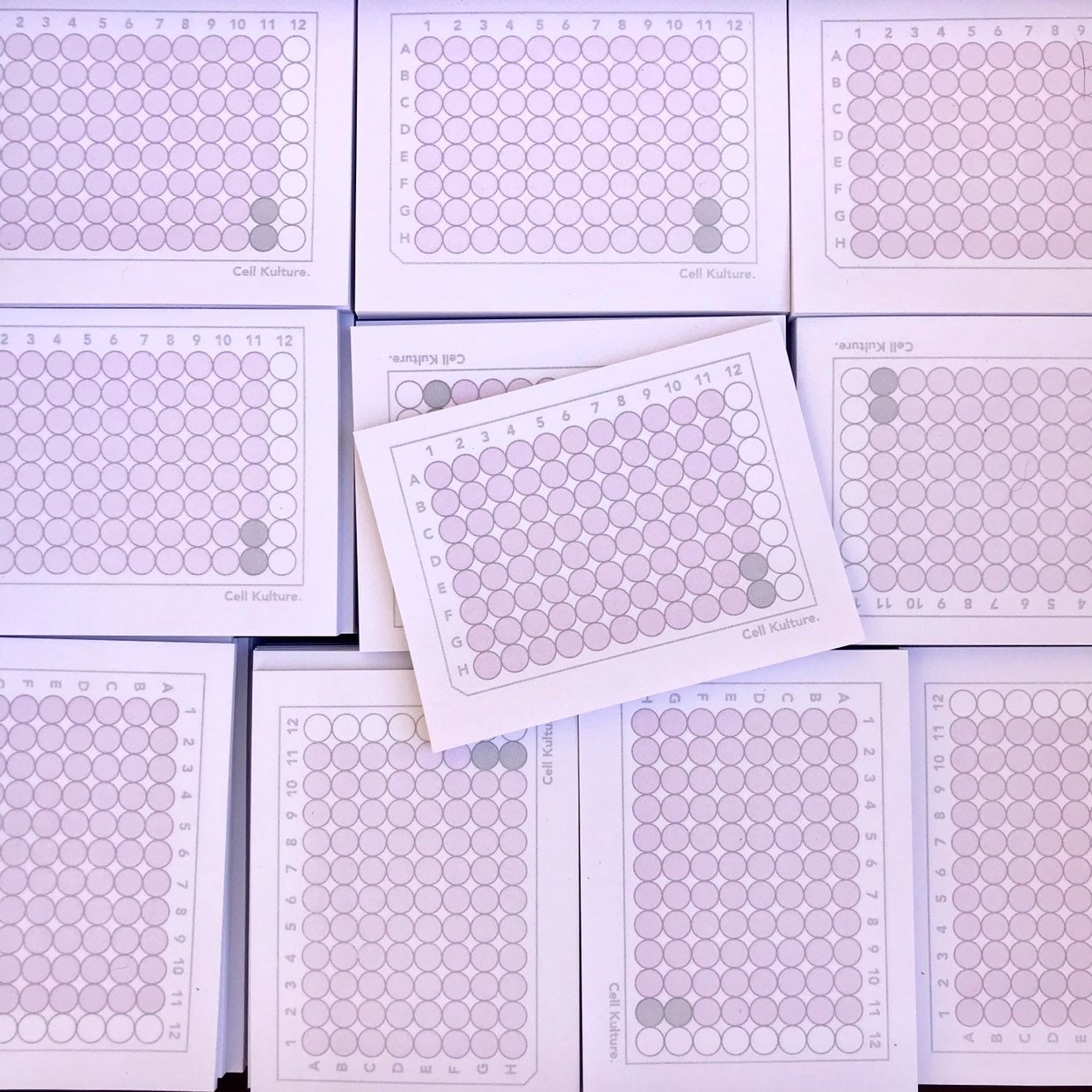 96 Well Plate, Science Note Pad, Recycled Paper Sticky Notes, Gift for ...