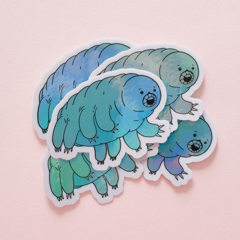 Tardigrade - Etsy
