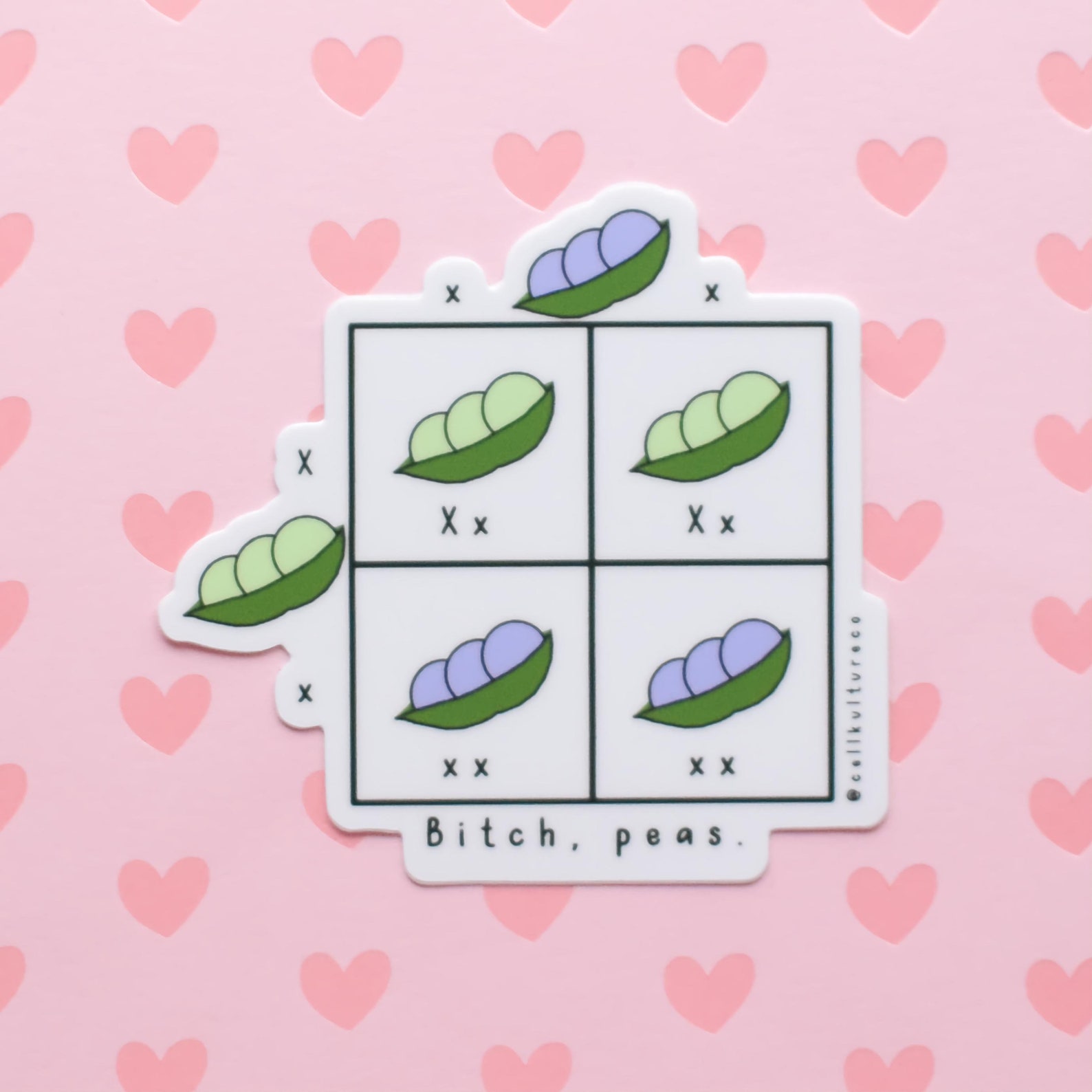 Punnett Square Vinyl Science Sticker Biology Genetics Gift - Etsy