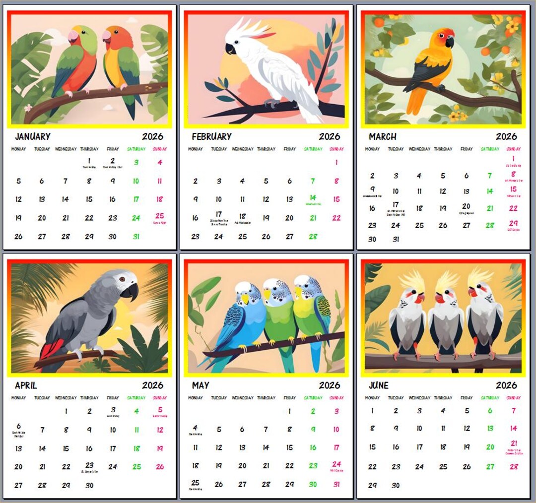 Parrots 2026 Wall Calendar A4 Size for Each Month Great Gift Idea - Etsy