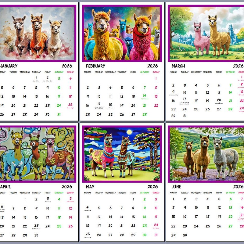Llama Alpaca Calendar - Etsy UK