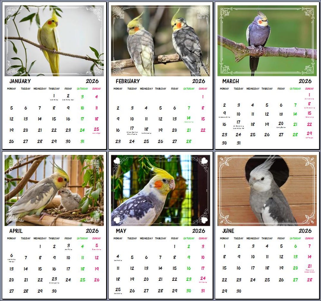 Cockatiels 2026 Calendar A4 Size per Month Wall Hanging - Etsy