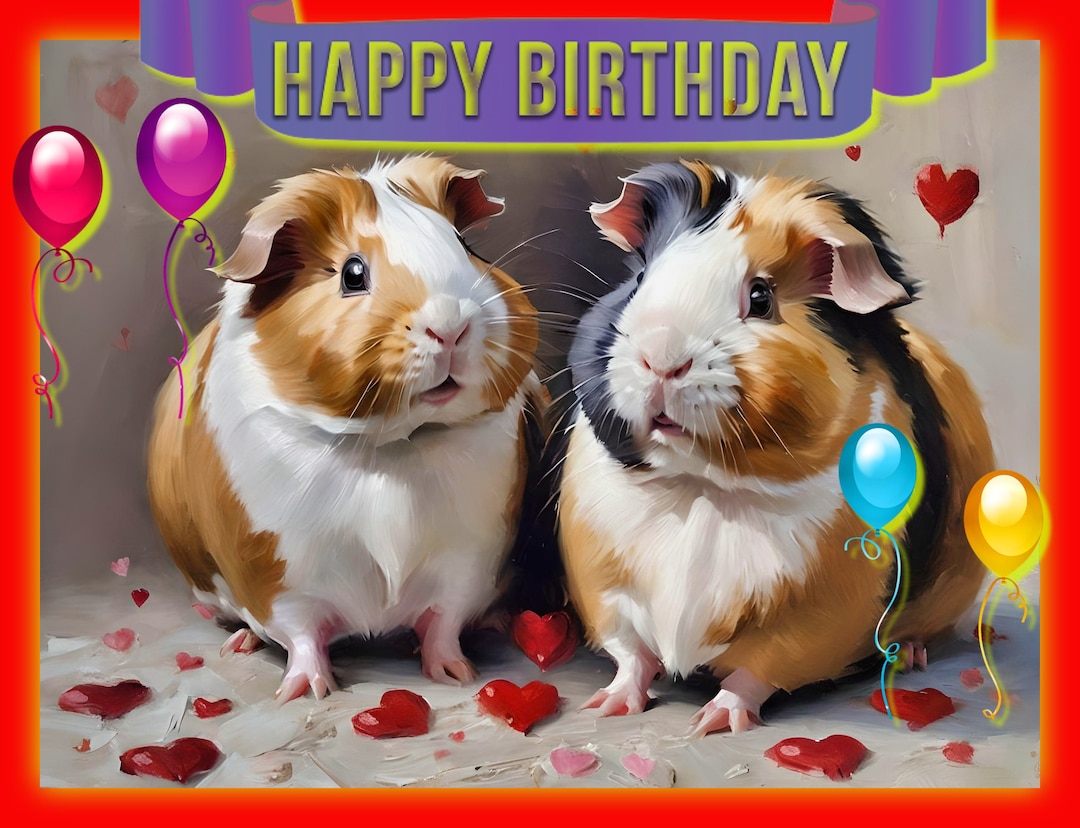 Happy Birthday Guinea Pig Cards A5 Choose Your Design - Etsy UK