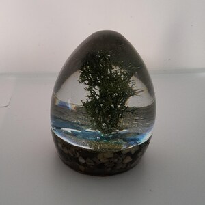 Paperweight/ornament With Tree, and Stream in Epoxy Resin Art - Etsy