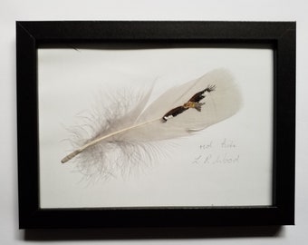 Bird of Prey Frame - Etsy
