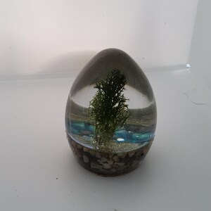 Paperweight/ornament With Tree, and Stream in Epoxy Resin Art - Etsy