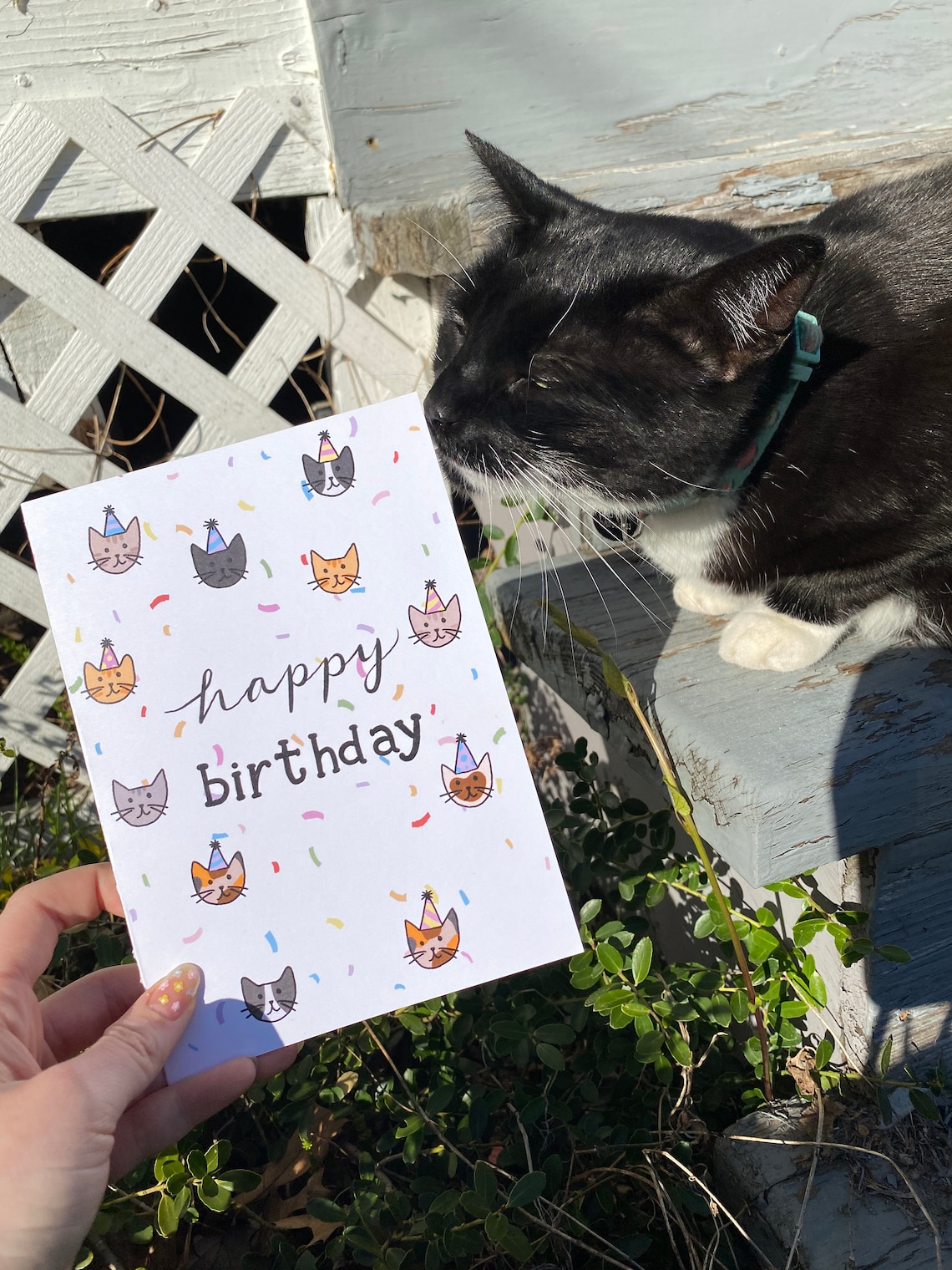 Cat Birthday Card - Etsy