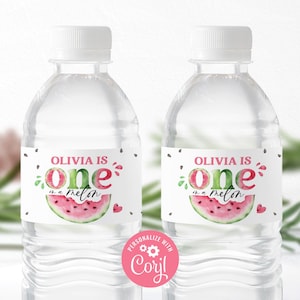 Editable Water Bottle Labels | Watermelon, ONE in A Melon, Summer ...