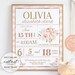 Floral Birth Stats Poster Printable Birth Announcement Sign | Etsy