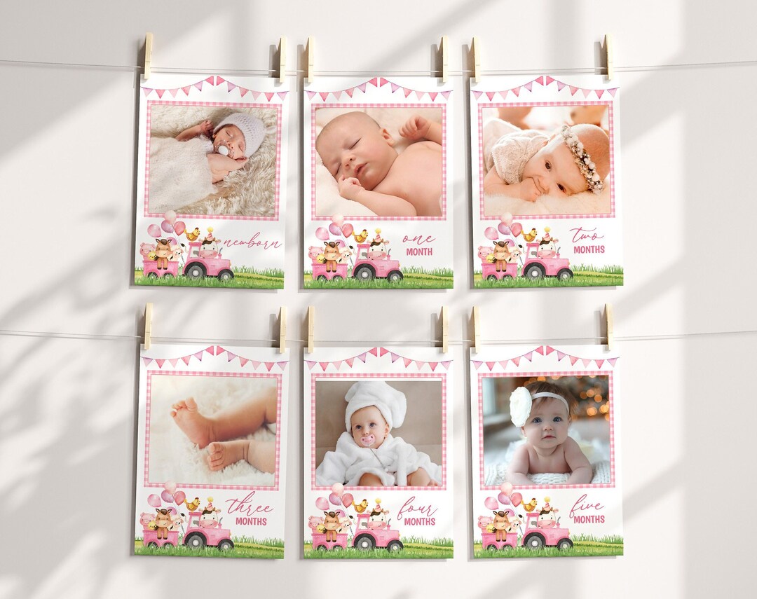 Monthly Photo Banner, 12 Months Birthday Banner, Year in Photos | Farm ...
