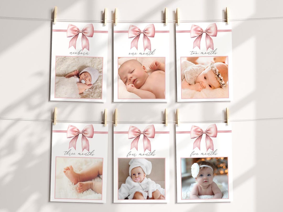 Monthly Photo Banner, 12 Months Birthday Banner, Year in Photos Pink ...