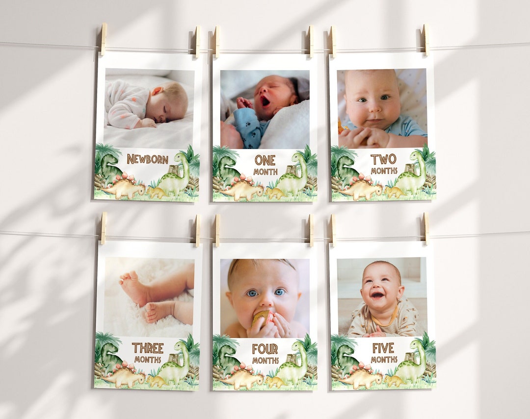 Monthly Photo Banner, Editable 12 Months Banner, Baby's First Year ...