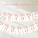 Baby Shower Party Banner, Baby in Bloom | Blush Pink, Boho Floral ...