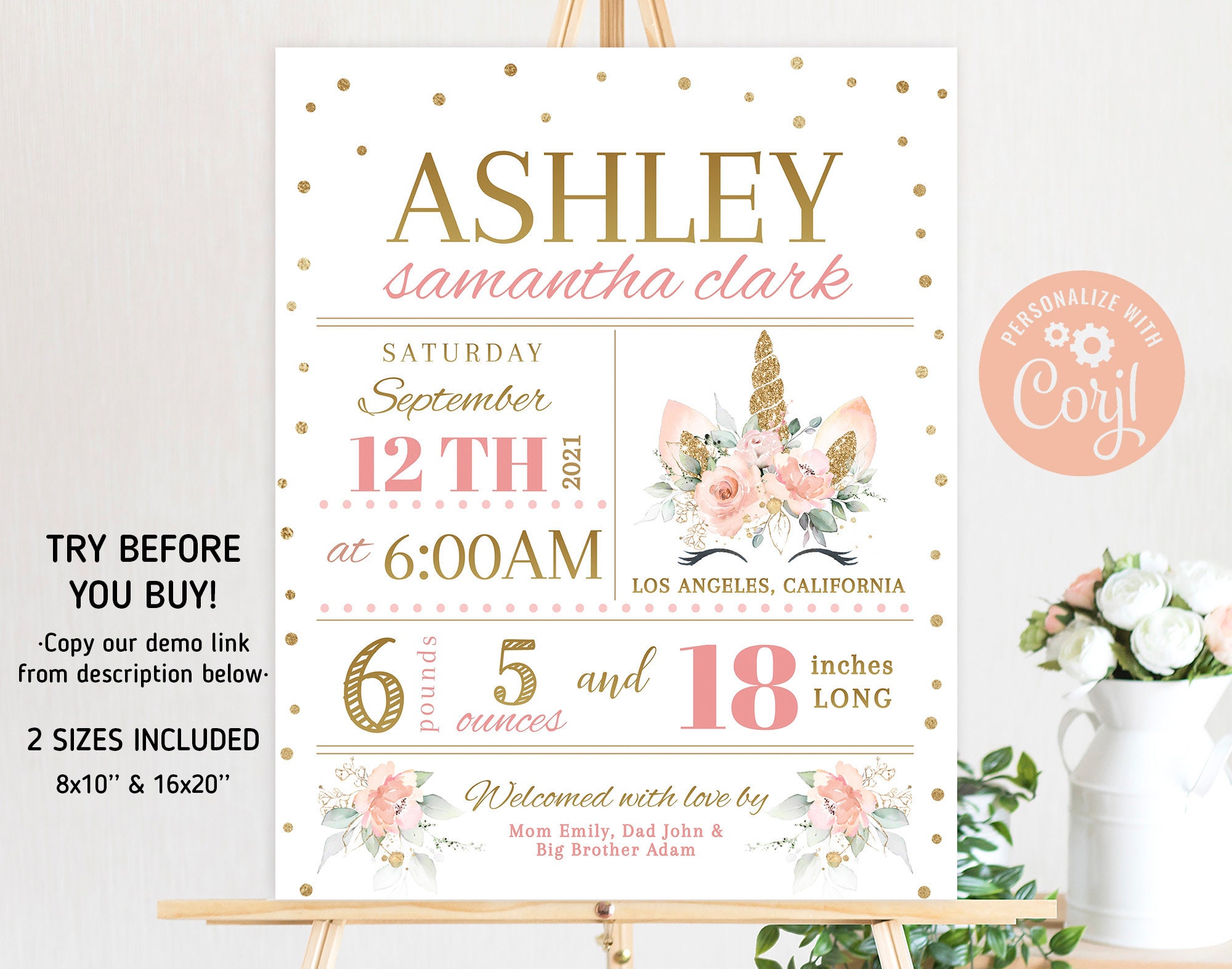 Printable Birth Stats Sign Editable Birth Announcement Sign | Etsy