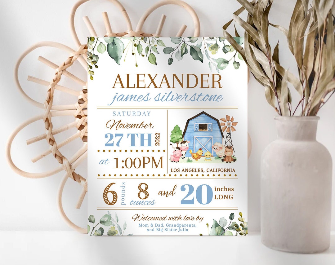 Printable Newborn Stats Sign Editable Boy Birth Stats Poster Blue Farm ...