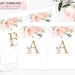 Blush Floral Party Banner Printable Happy Birthday Banner DIY Baby ...