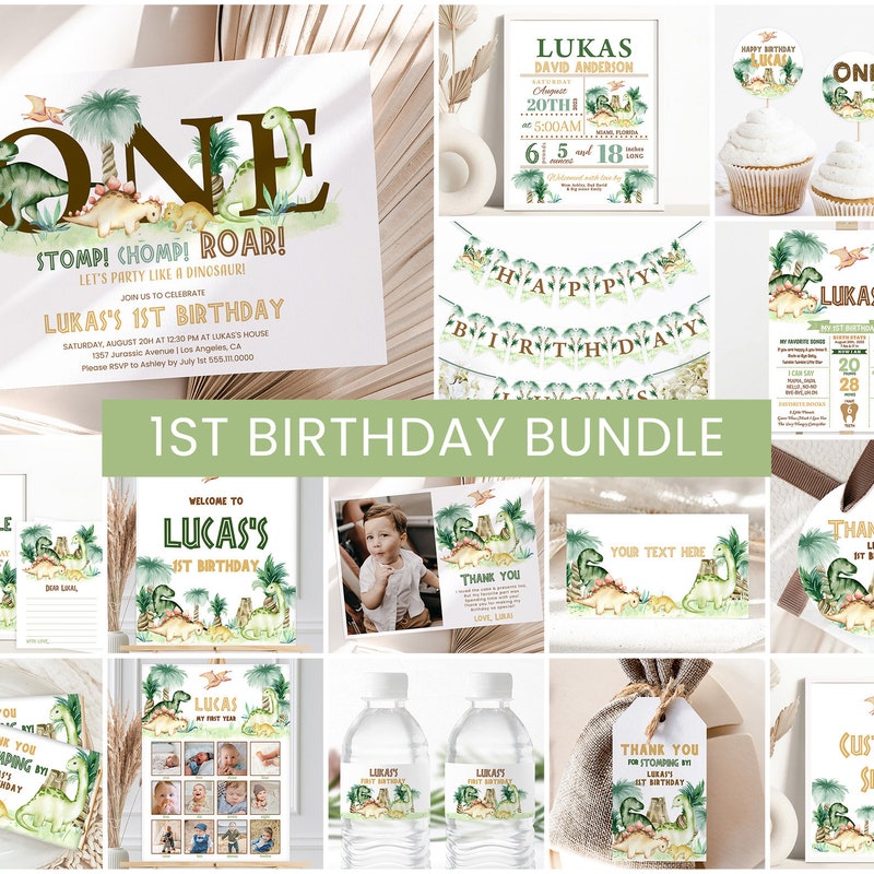 Dinosaur 1st Birthday Theme - Etsy