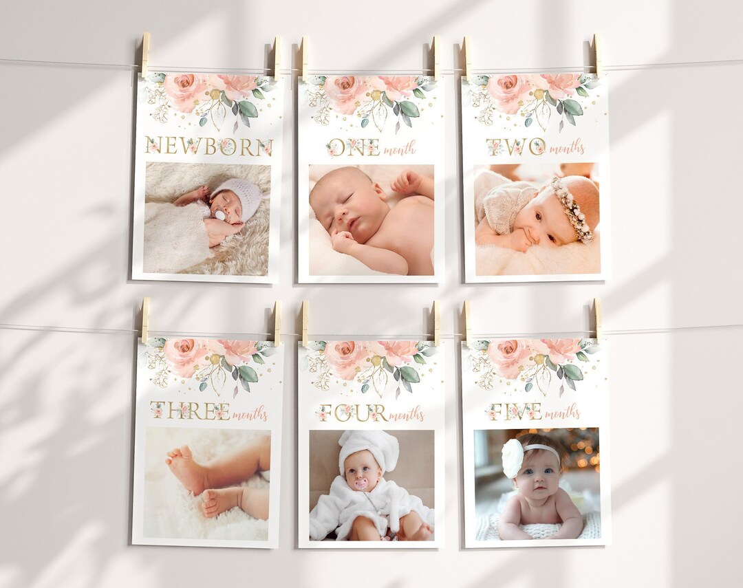 Monthly Photo Banner, Girl 12 Months Banner, Baby's First Year | Blush ...