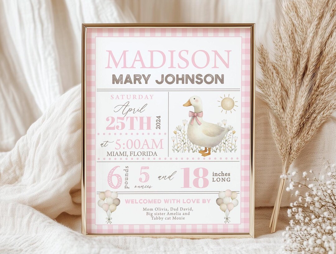 Birth Stats Sign, Girls Birth Announcement | ONE Silly Goose, Pink ...