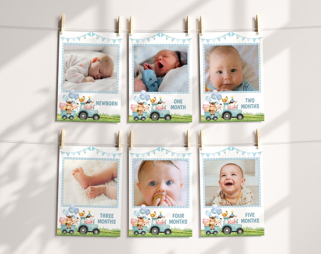 Monthly Photo Banner, 12 Months Birthday Banner, Year in Photos | Farm ...