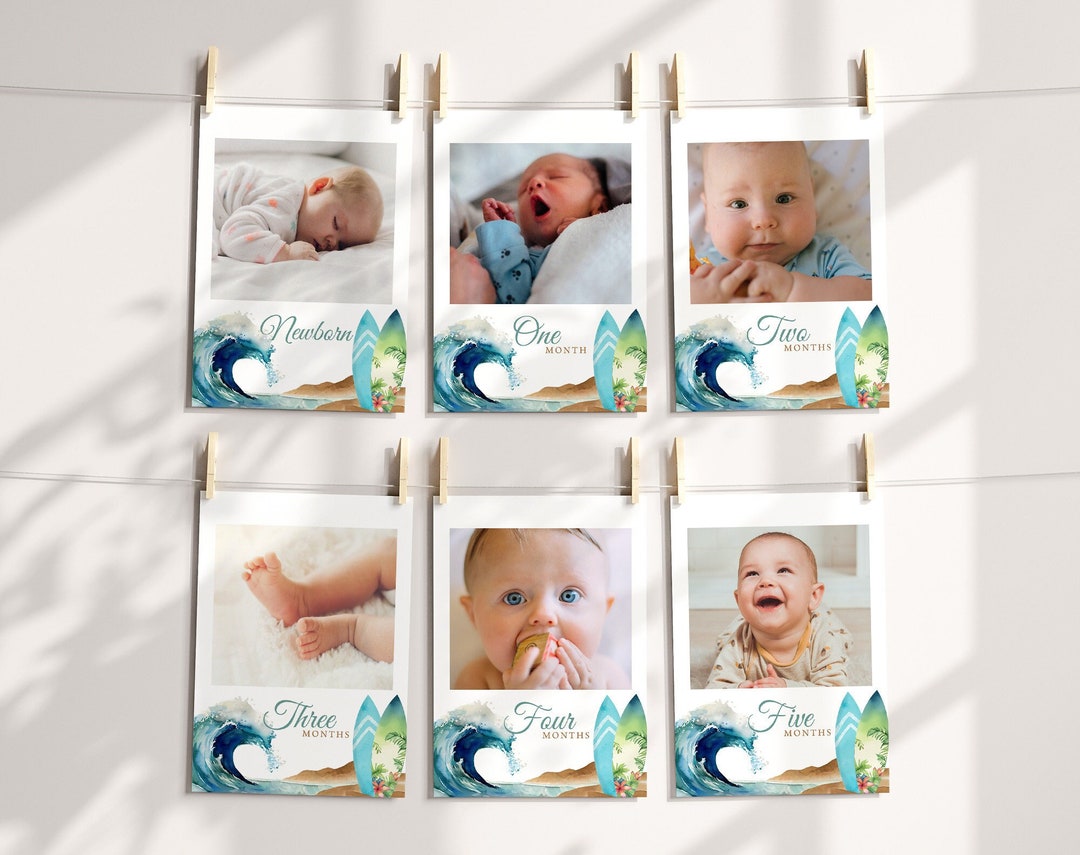 Monthly Photo Banner, 12 Months Banner, Birthday Milestone | the Big ...
