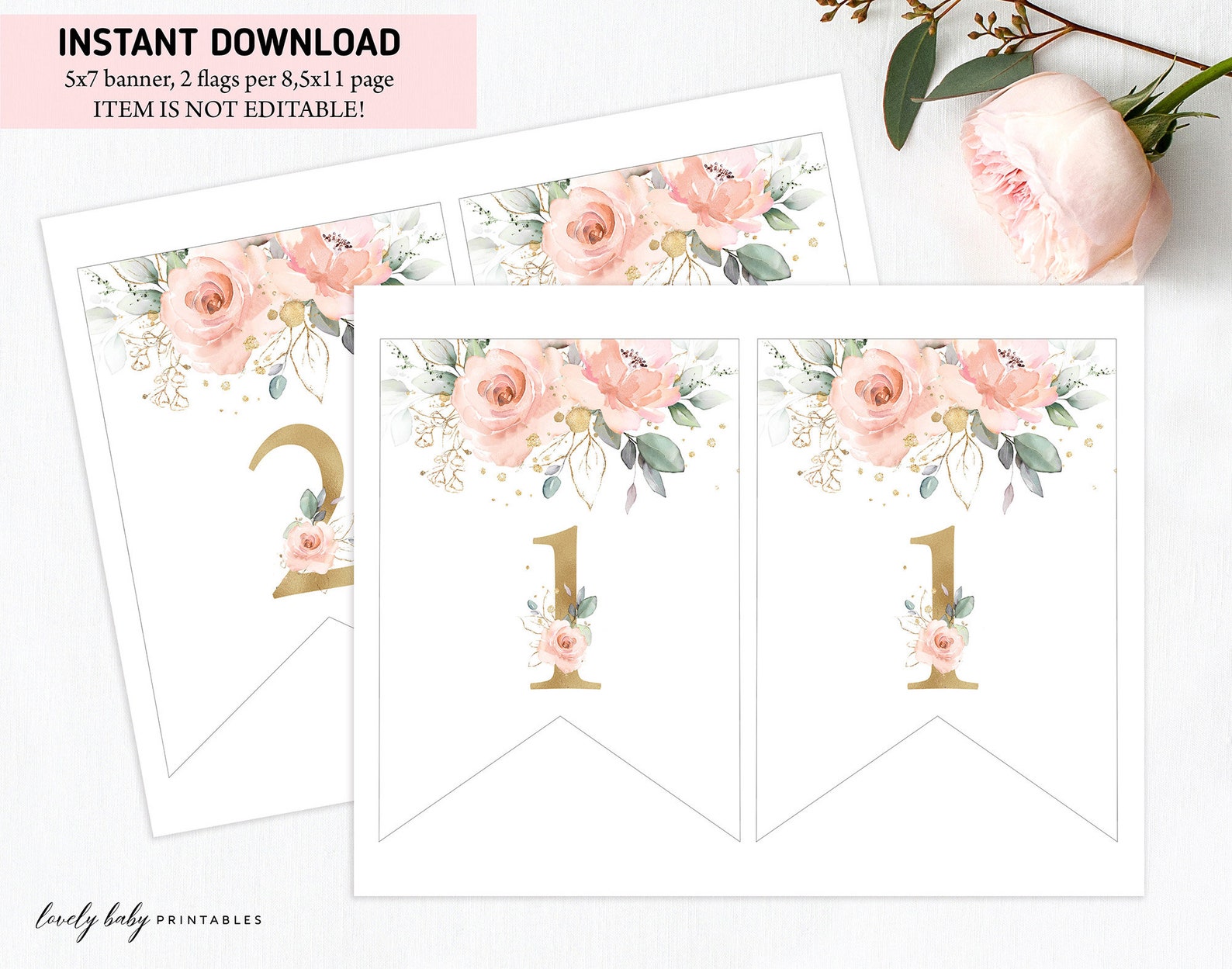 Blush Floral Party Banner Printable Happy Birthday Banner DIY - Etsy
