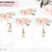 Blush Floral Party Banner Printable Happy Birthday Banner DIY Baby ...
