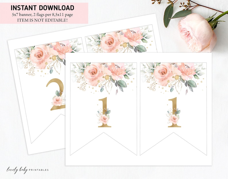 Blush Floral Party Banner Printable Happy Birthday Banner DIY - Etsy
