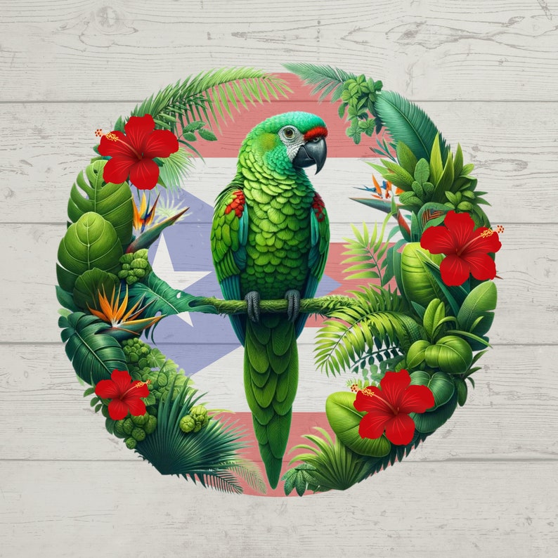 Puerto Rico Sticker, Iguaca Parrot, UV DTF Stickers, Laptop Stickers ...