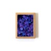 Print • Nucleus, Tide Pools, Sea Stars, Anemones, Oregon Coast, Coastal ...