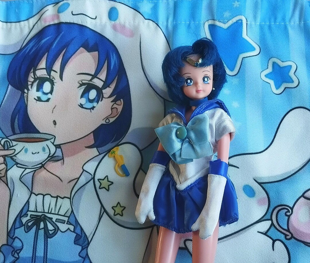 Sailor Mercury, Pretty Guardian Sailor Moon Vintage Doll, 90s Giochi ...