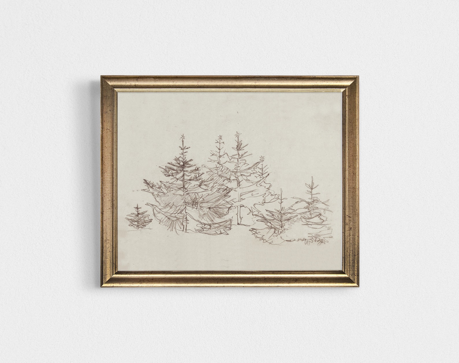 Vintage Pine Tree Sketch | Printable Digital Download | Vintage Holiday ...